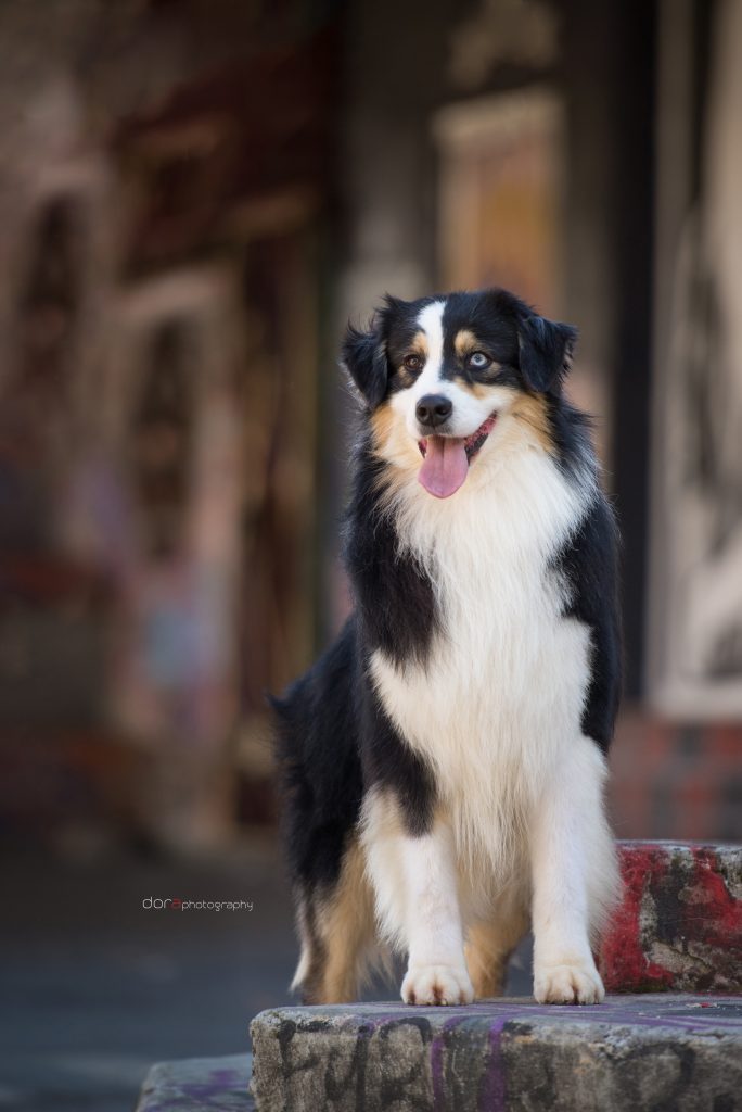 Xsell Who Dis N Northbay – Witchunter